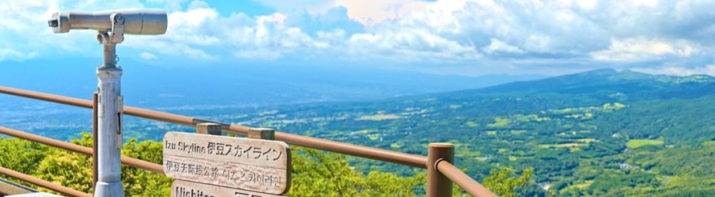 Quickly install DiG on Windows without a full BIND9 install